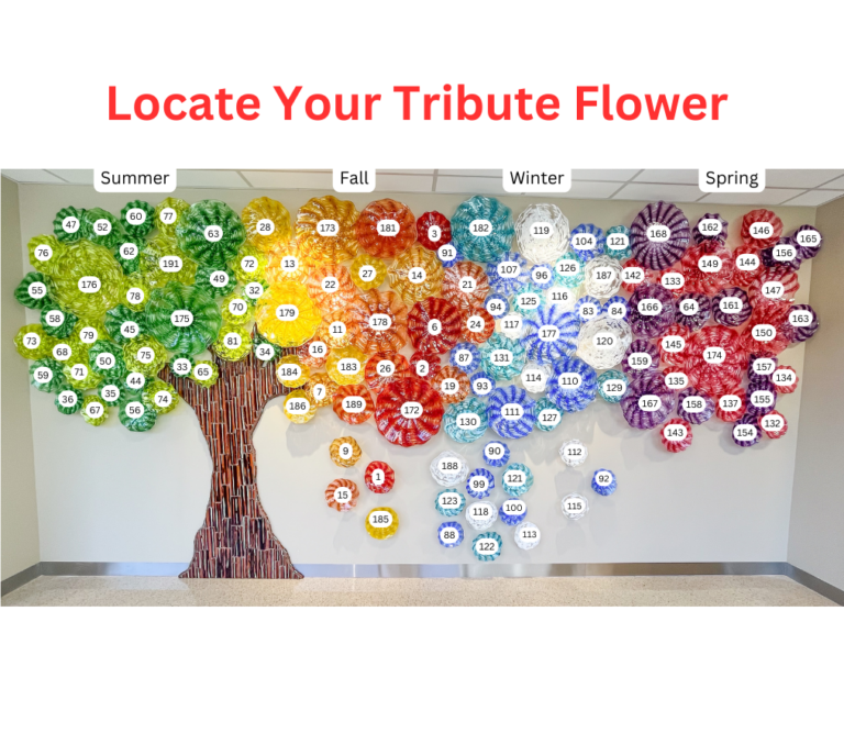 Seasons of Life - Growing Hope Through Art